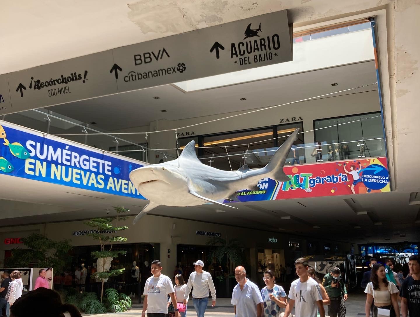 メキシコ・レオンでお買い物！スーパーマーケットやショッピングモール6件 - メキシコ駐在ライフ「Gracias」でいこう